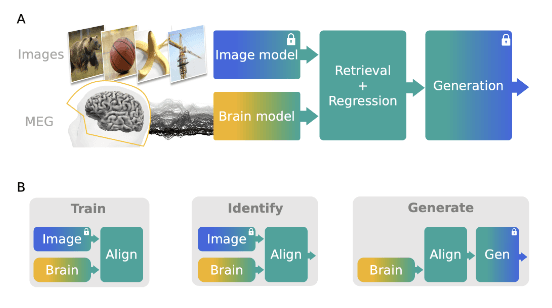 Pitti Article Brain Decoding Toward Real Time Reconstruction Of